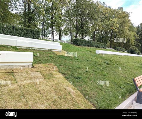 Different Types Of Artificial Turf Withered And Fresh Grass On A Slope In A City Park Stock
