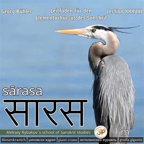 Aleksei Rybakov on LinkedIn: #sanskrit #bühler #санскрит #бюлер # ...