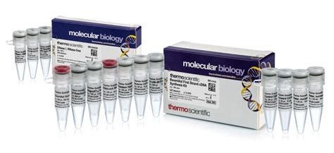 Revertaid™ First Strand Cdna Synthesis Kit With Dnase I
