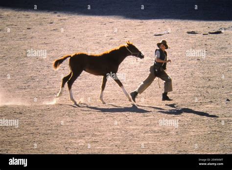 Chase Moore Running Free 2000 Columbia Pictures Photo Credit Umberto Adaggi Columbia