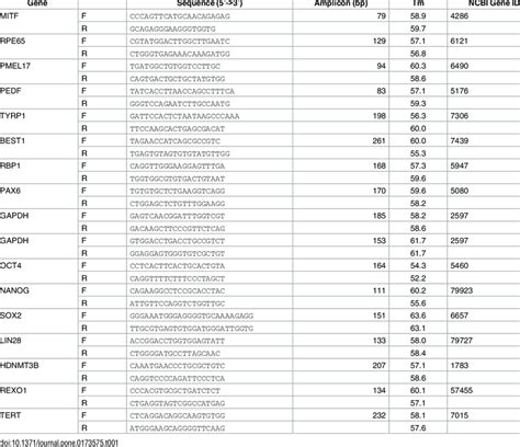Primers For Gene Expression Analysis Used In This Study Download Table