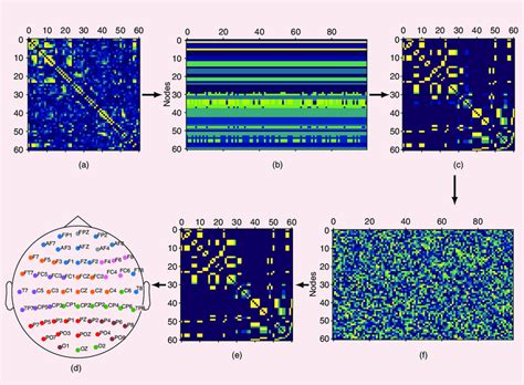 The Replicability For A Functional Connectivity Brain Network From Download Scientific Diagram
