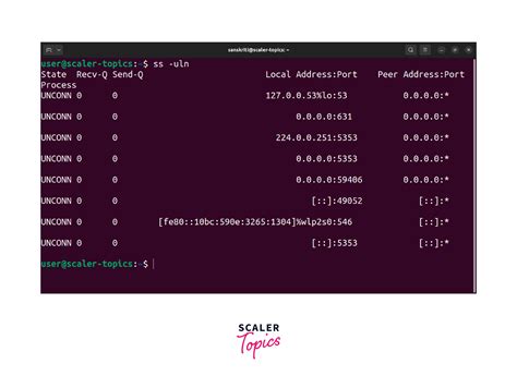 How Does Linux Use Sockets Scaler Topics