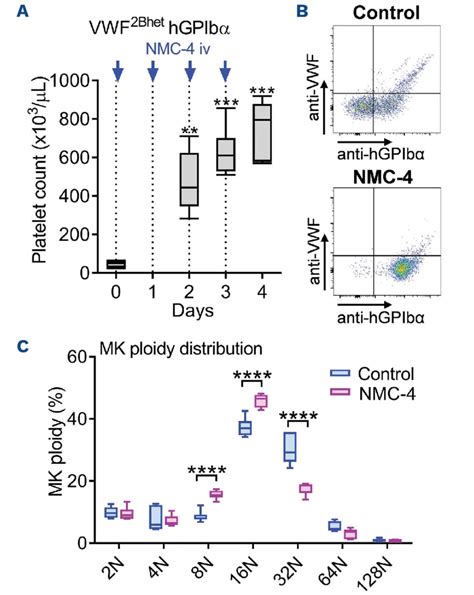 Inhibition Of Vwf A1 Gpibα Reverses The Effect Of Gain Of Function