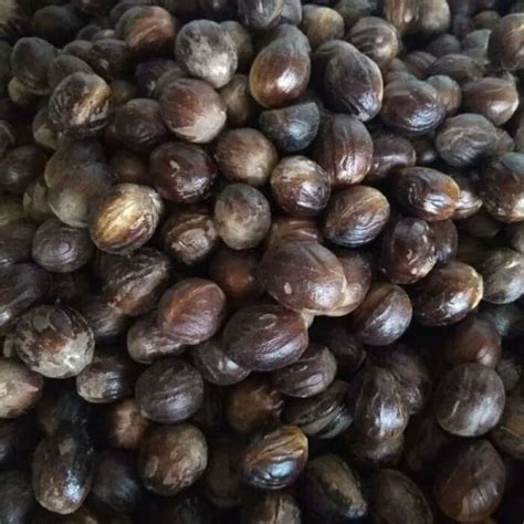 Jual Biji Pala 1 Kg Shopee Indonesia