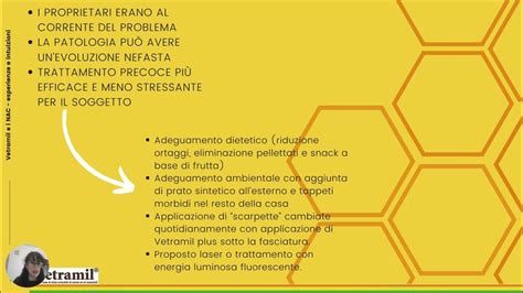 Case History Ginny Pododermatite Stadiazione E Trattamento Youtube