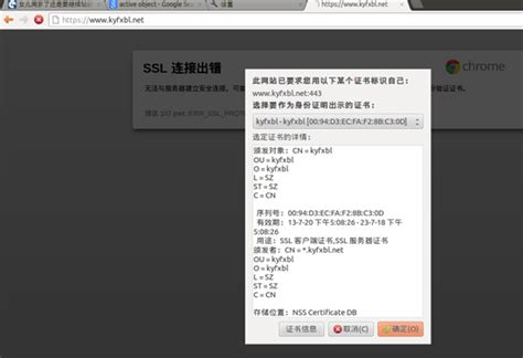 Apache Ssl单双向证书认证 东方安全