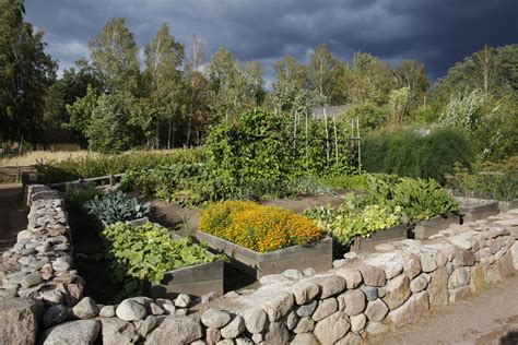 Lev som en bonde Niklas Kämpargård Odlingslådor och rabattkanter Land
