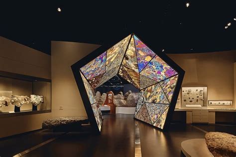 Western Australian Museum Boola Bardip By Thylacine Design