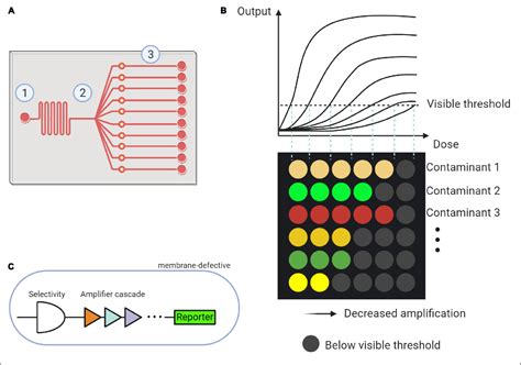 Figure 1 From Microfluidic Based Whole Cell Biosensors For Simultaneously On Site Monitoring Of