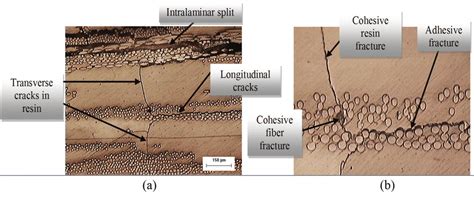 A Region Near Final Fracture B Cohesive And Adhesive Fracture Near Download Scientific