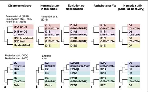 Figure 1 From Classification Of Dopamine Receptor Genes In Vertebrates