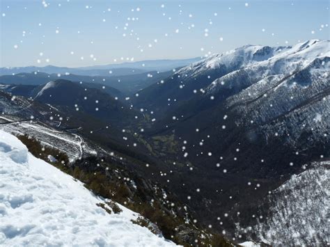 Nepal Flag  Nepal Discover Share S My Xxx Hot Girl