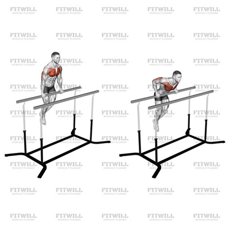 Chest Dip On Straight Bar Exercise Guide Techniques Benefits How To