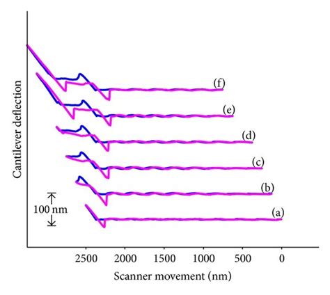 Force Curve Data Collected During Compression Of The Ccnt At An