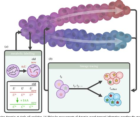 Figure From A Dynamical Perspective Moving Towards Mechanism In