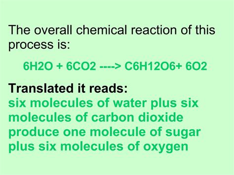Leaves Structure And Function Ppt