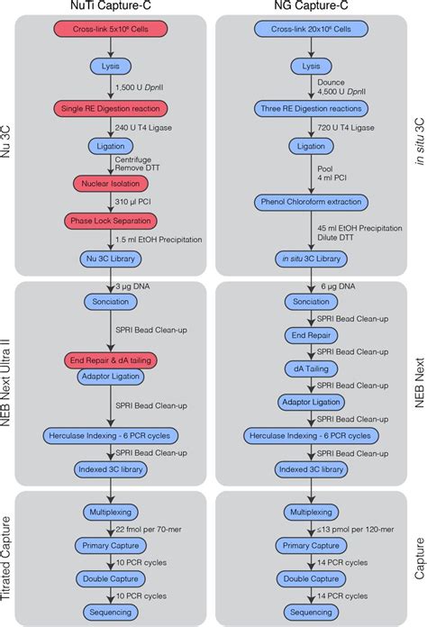 Chromosome Conformation Capture 13genome Assembly 4 Bch709