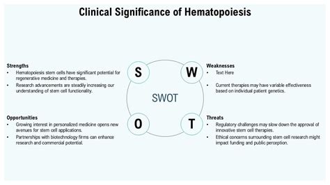 Hematopoiesis Stem Cells Ppt Graphics Acp Ppt Template