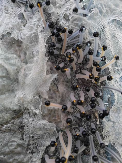 Texture Series 57 Textile Art Textile Artists A Level Textiles