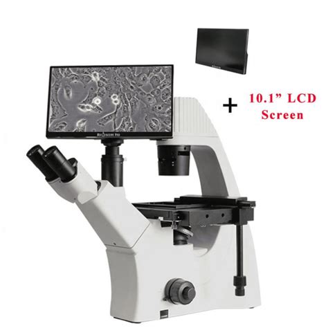 Trinocular Phase Contrast Digital Inverted Microscope Conduct Science