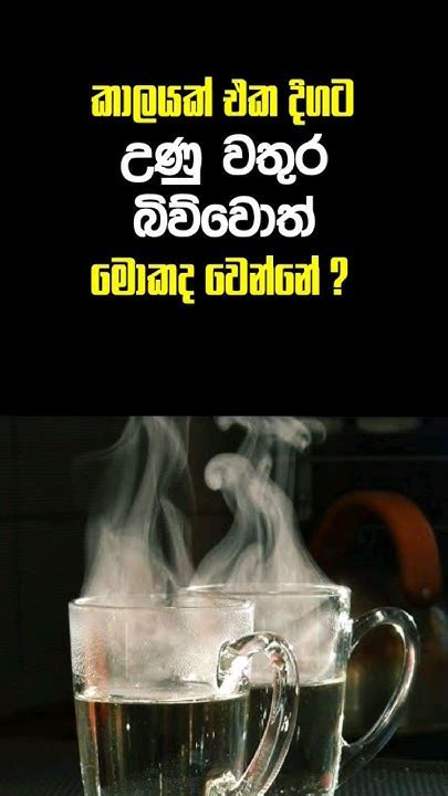 උණු වතුර බීලා මෙහෙම වෙයි කියලා කවුද හිතුවේ 🤔😍 Short Sinhala Water Health Youtube