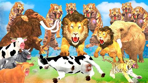 10 Giant Tigers Vs 10 Zombie Lion Fight Chase Cow Cartoon Saved By