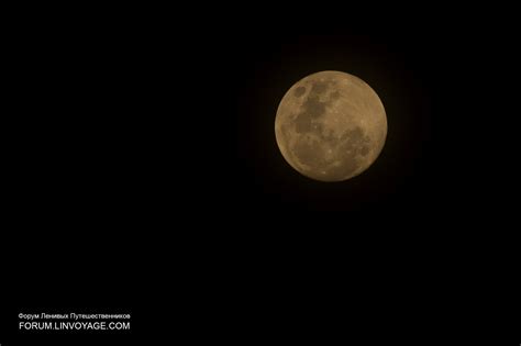 배경 화면 스포츠 바다 물고기 원 분위기 여름 비키니 요트 태국 어업 한밤중 뗏목 참치 소녀 대양 섹시한 도약 극한의 푸켓 푸케 티아