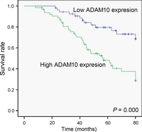 Effects Of Adam10 Upregulation On Progression Migration And Prognosis Of Nasopharyngeal