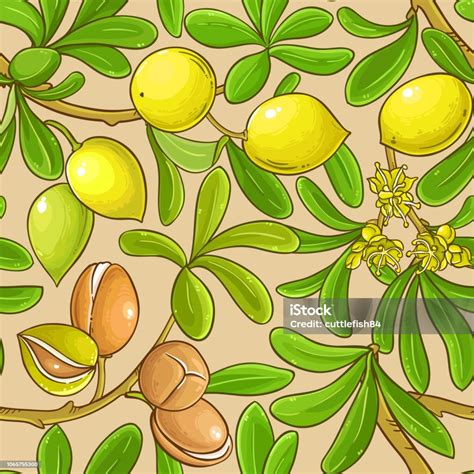 Argan 벡터 패턴 아르간나무에 대한 스톡 벡터 아트 및 기타 이미지 아르간나무 0명 갈색 Istock