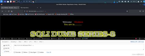 sqlilabs靶场1 10关详解（get请求式） sqlilabs靶场1关 csdn博客