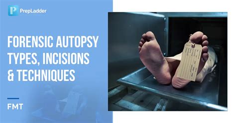 Forensic Autopsy Types Incisions Techniques And More
