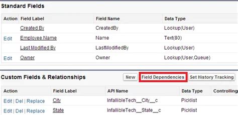 How To Set Field Dependency In Salesforce Infallibletechie