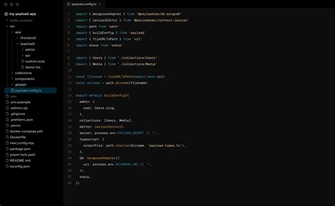 Payload Cms 内容管理系统payloadcms Csdn博客