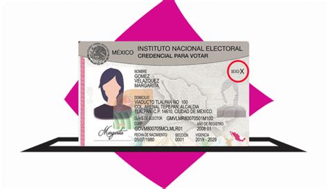 Credencial Del Ine Reconocerá Identidades No Binarias Siempre En La Noticia