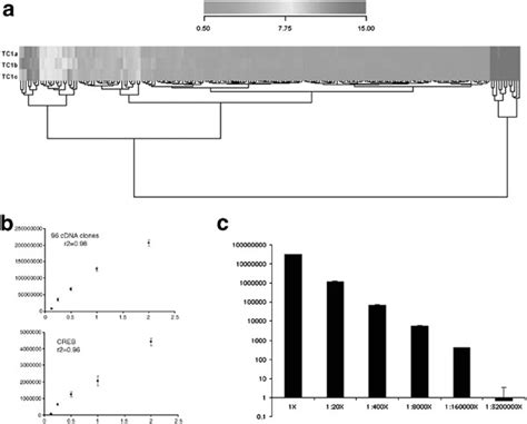 Amplification Of Rna Transcripts Using Terminal Continuation