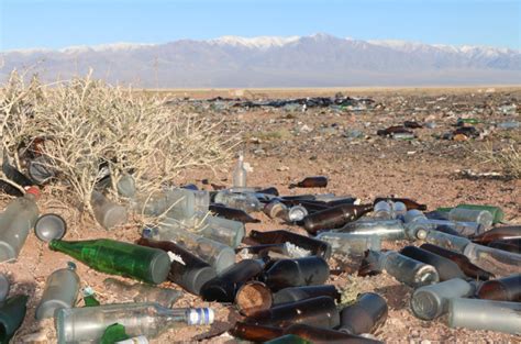 Ховд аймгийн Хар Ус нуур орчмын УТХГНХЗ Алтайн хос ирвэс нөхөрлөл хамтран “Байгаль хогийн цэг