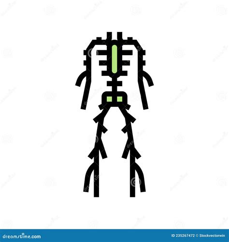 Lymphatic System Color Icon Vector Illustration Stock Vector