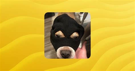 System Members Guilded