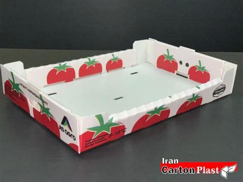 گالری تصاویر جعبه میوه ایران کارتن پلاست