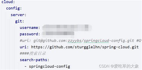 springcloud config在使用github时报：nfig