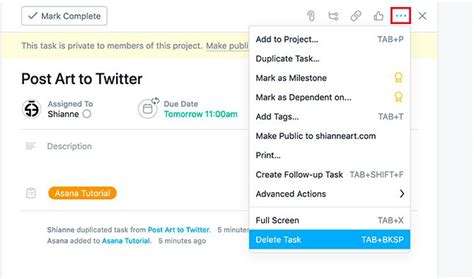 A Beginner S Guide To Using Asana For Tracking Any Project