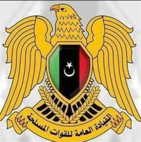 ضد الإخوان وأبواق الإخوان