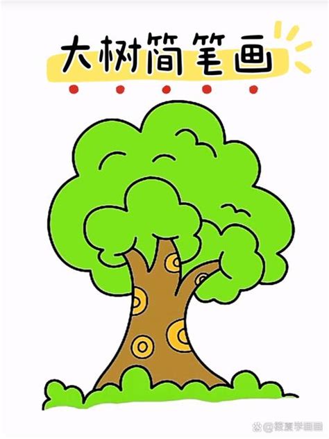 树冠怎么画简笔画（最新12张） 简笔画图片大全