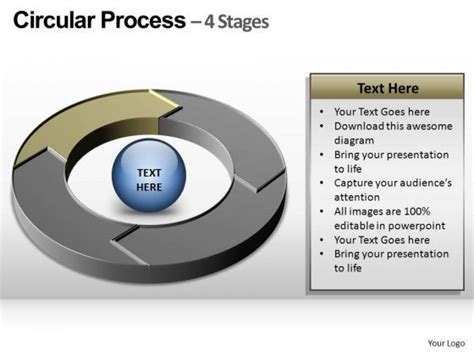 PowerPoint Presentation Graphic Circular Ppt Slide Layout