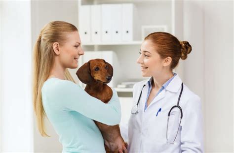 Oorontsteking Hond 10 Tips Behandelen En Voorkomen