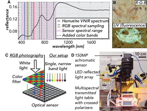Figure 1 From A High Resolution Multispectral Macro Imager For Geology And Paleontology