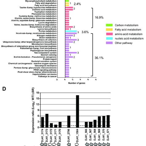 Transcriptome Analysis Of Differential Gene Expression Between A