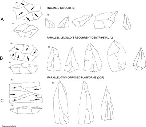 A Schema Showing Different Knapping Modalities Identified In The Point