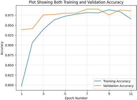 GitHub Giftomoba Brain Tumor Classification AI Model Implemented